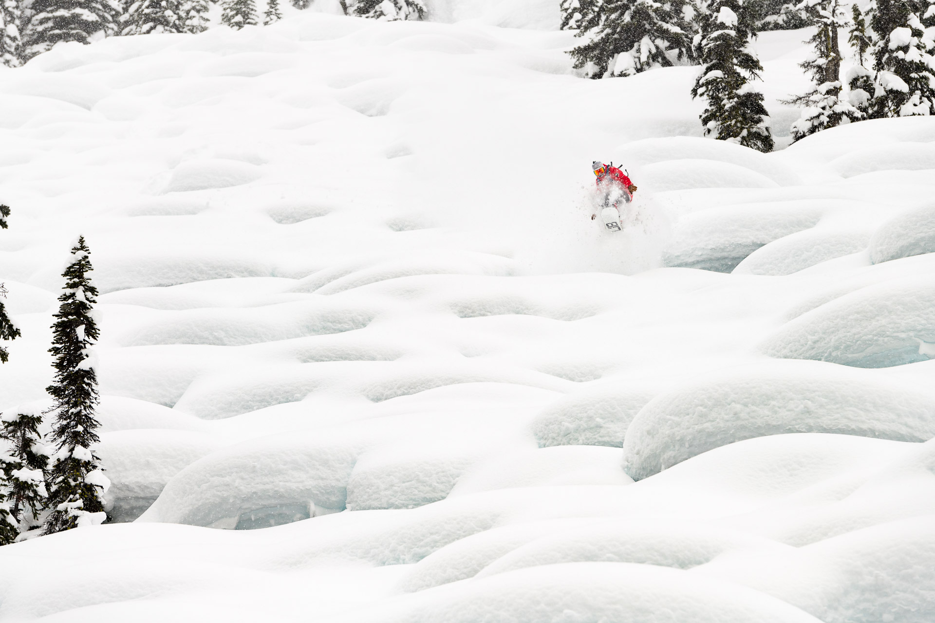 Boardslide Worldwide Stellar Heli | Stellar Heliskiing, BC Canada